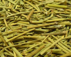 La Efedrina y efectos, ¿Sirve para adelgazar? - Centro de Desintoxicación